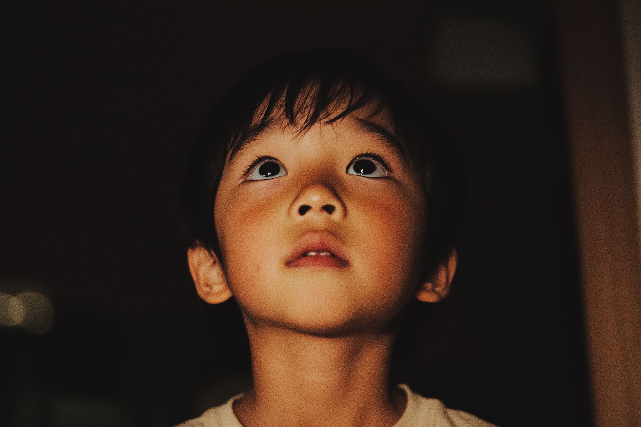Free image: Young child gazing upwards with a look of wonder in dim ...